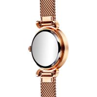 China IP Rose Gold Waterproof 28mm Alloy Quartz Watch Ladies Mesh Band for sale