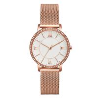 China ODM OEM Logo Womens Fashion Watch Mesh Band IP Rose Gold Color for sale