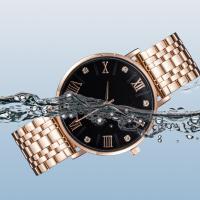 China Big Roman Japan PC21S Alloy Quartz Watches With Stainless Steel Solid Band for sale