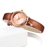 China Quartz Pc21 Womens Fashion Watch Leather Fancy Waterproof 30mm for sale