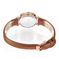 China Quartz Pc21 Womens Fashion Watch Leather Fancy Waterproof 30mm for sale