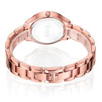 China Waterproof Diamond Pc20 Pc21 Quartz Wrist Watch For Women Lady for sale