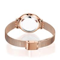 China 3ATM Ladies Alloy Quartz Watch Mesh Bracelet Brass Watch Face Sun Ray Effect for sale