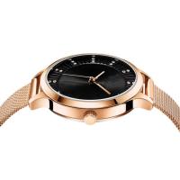 China 3ATM Ladies Alloy Quartz Watch Mesh Bracelet Brass Watch Face Sun Ray Effect for sale
