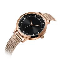 China 3ATM Ladies Alloy Quartz Watch Mesh Bracelet Brass Watch Face Sun Ray Effect for sale