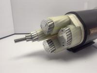 China NA2XY 0.6/1kV Aluminum Conductor XLPE Insulated PVC Sheathed Power Cable – VDE/IEC Standard for sale