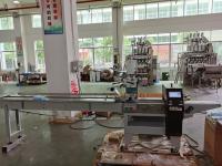 China 4KW OPP Horizontal Flow Wrap Packing Machine Pack Chives Servo Control for sale