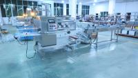 China 230mm Width Zigzag Cutter Horizontal Flow Wrap Machine Belt Infeed Conveyor Film Bottom for sale