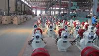 China STR SN115 Double Pipes Rice Polishing Machine Best Solution for Peeling Rice in Nepal for sale