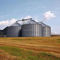 China 20000 Tons Perfect STR STGF200 Building Silo Machine for Grain Storage Raw Material for sale