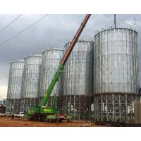 China 1000 Ton Grain Storage Silo for Rice Paddy Cereal Corn Wheat at Competitive for sale