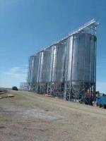 China Perfect STR STG20 250 Ton Small Grain Steel Silo Easy Assembly and for Wheat Storage for sale