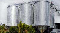 China 250 Ton 300 Ton Wheat Maize Flour Storage Galvanized Stainless Steel Grain Silo for sale
