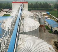 China 250 Ton 300 Ton Wheat Maize Flour Storage Galvanized Stainless Steel Grain Silo for sale
