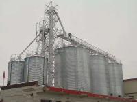 China 250 Ton 300 Ton Wheat Maize Flour Storage Galvanized Stainless Steel Grain Silo for sale