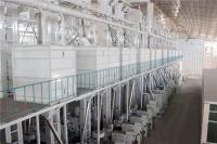 China Complete Rice Mill Production Line with MCHJ1000 gt 1000d Big Rice Hopper Milling for sale