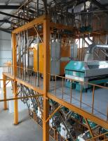 China 24x8x9m 50TPD Roller Maize Milling Grinder Machine for Wheat White Flour Mills in India for sale