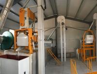 China 24x8x9m 50TPD Roller Maize Milling Grinder Machine for Wheat White Flour Mills in India for sale
