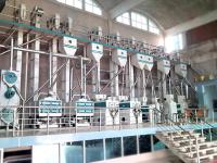 China Complete Rice Milling Machine 500 Tons Modern Processing Line Plant with 750 kW Power for sale