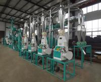 China Suit for Maize Flour Mill Grits Machine 20TPD Hammer Mill Grade 1 Corn Processing Line for sale