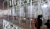 China Cameroon 50t/24h Complete Maize Flour Mill Grits Machine Corn Milling Line in Turkey for sale