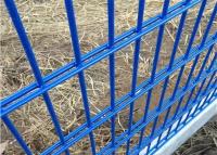 China Heavy Gauge Pvc Coated Welded Double Wire Fence 656 868 Horizontal for sale