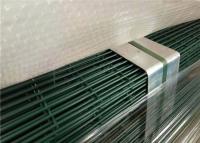 China Heavy Duty Iron 358 Wire Anti Climb Mesh Fence High Security Prison for sale