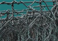 China 200x100x50mm Gabion Mesh Baskets Landscape Stone Cage Wire Fence for sale