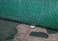China Decorative 50ft Green Metal Chicken Mesh Fence 2.1mm ODM For Poultry Cage for sale
