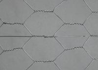 China Hot Dipped Galvanized Chicken Mesh Fence 22 Gauge 25mm Hexagonal Hole for sale