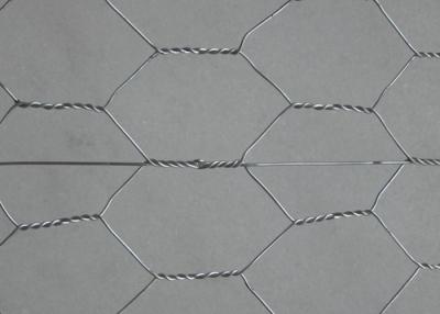 China Hot Dipped Galvanized Chicken Mesh Fence 22 Gauge 25mm Hexagonal Hole for sale