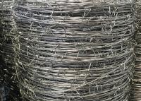 China 12x12 3.2mm Hot Dipped Galvanized Wire Silver 14x14 Barbed Wire for sale