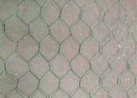 China PET Durable Hexagonal Wire Kikko Net 80x100mm for sale