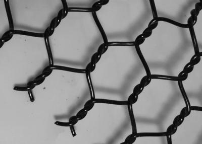 China PET Durable Hexagonal Wire Kikko Net 80x100mm for sale