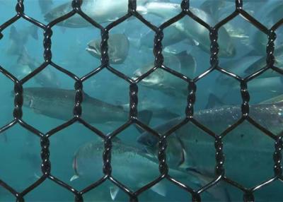 China 3×4cm 5x6cm Gabion Mesh Basket Polyester Kikko Net For Deepsea Fish Breeding for sale