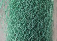 China Hexagonal 2.5mm Gabion Mesh Baskets 50x60mm Woven Fish Cage Netting for sale