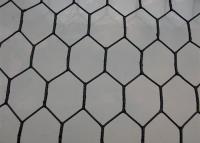 China 18 Gauge 2m Chicken Mesh Fence 50m Vinyl Coated Poultry Netting for sale