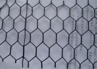 China 18 Gauge 2m Chicken Mesh Fence 50m Vinyl Coated Poultry Netting for sale