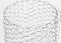 China 1/2in Hex Chicken Mesh Fence 2ft X 100ft BWG 27 Reverse Twisted for sale