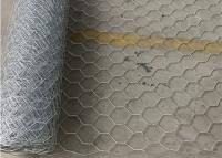 China BWG 23 Q195 Galvanized Chicken Mesh Fence 3/8'' Poultry Hex Netting for sale