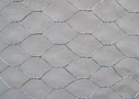 China 2.54cm Chicken Mesh Fence SS304 Hex Wire Netting Anti Slip for sale