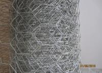 China 0.42mm Galvanized 1.2m High Chicken Wire Mesh Fence For Rabbits Cage for sale