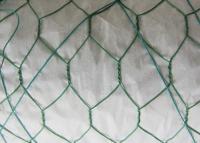China 36 Inch Green PVC Coated Chicken Wire Mesh 3/8