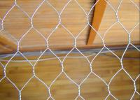 China BWG 24 Silver 100ft Chicken Wire Mesh Fence Electro Galvanized Hexagonal for sale