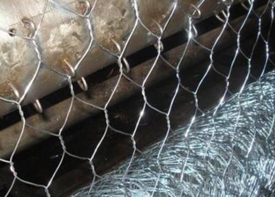China Hexagonal Galvanized Chicken Wire Mesh BWG 12 3/4