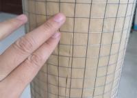 China 25.4mm Green  Vinyl Coated Welded Wire Mesh Panels BWG 16 Gauge for sale
