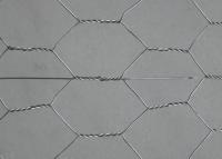 China Galvanized Farm Bwg27 Chicken Mesh Fence , Hexagonal Poultry Netting for sale