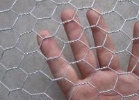 China Small Hole Bwg19 Chicken Mesh Fence Coop Galvanized Wire Rolls for sale