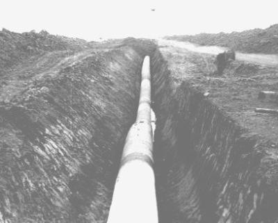 China Customized Size Sintered Silver Silver Chloride Electrodes For Pipeline Corrosion Control for sale