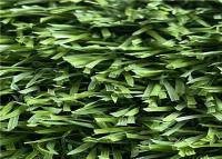 China PE Monofilament Artificial Grass 10ft X 10ft 30mm For Garden Turf Stem for sale